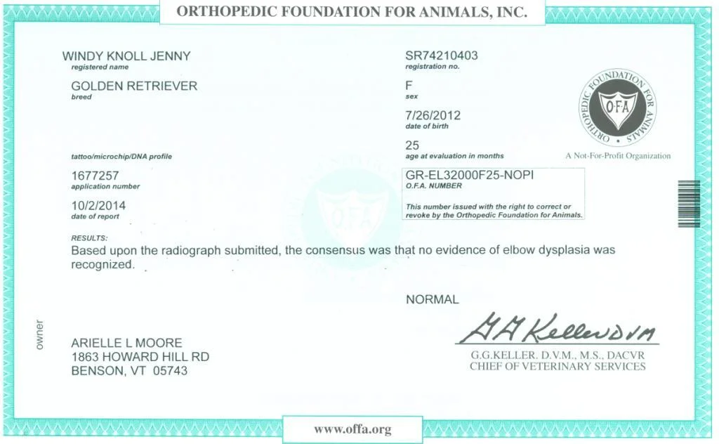 The Results Are In... OFA Certification